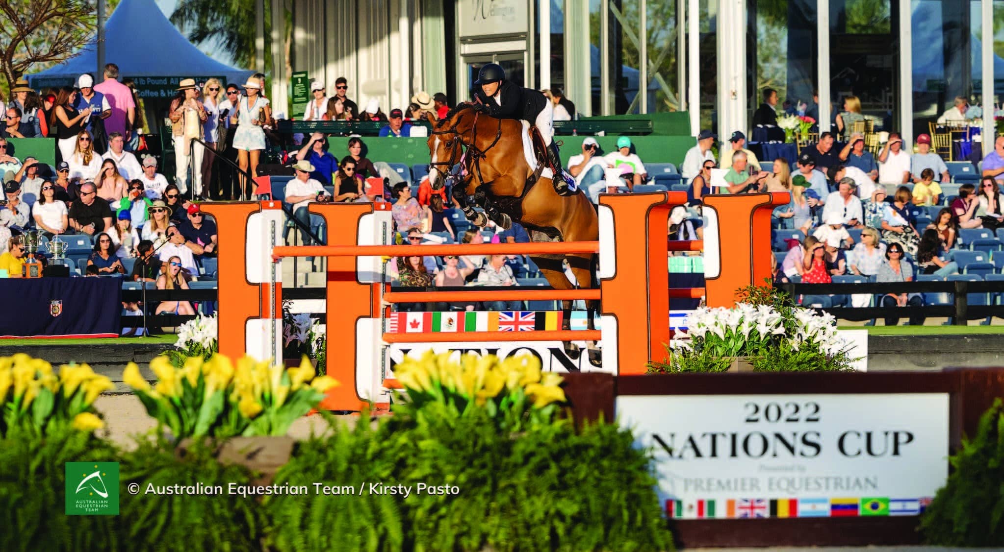 Taking the Reins - Show Jumper Lauren Balcomb | Ocala Horse Properties