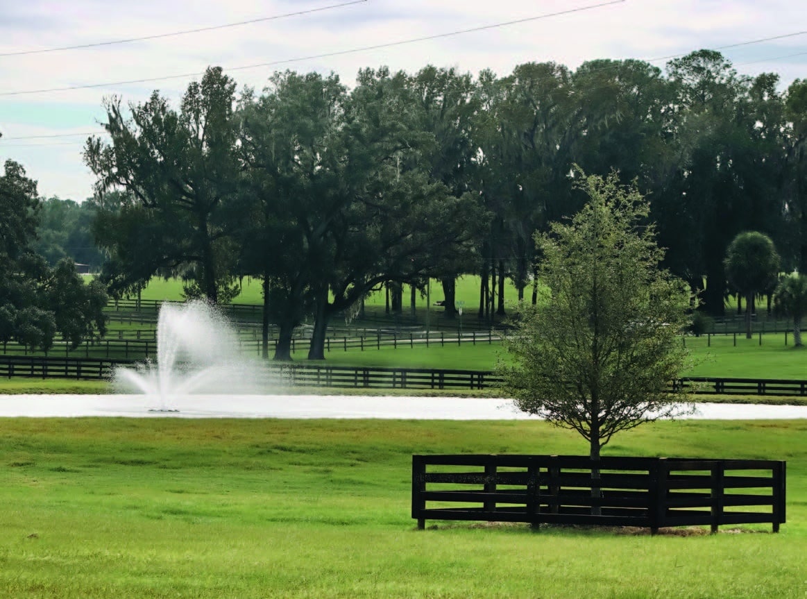 Investing in the Horse Capital | Ocala Horse Properties