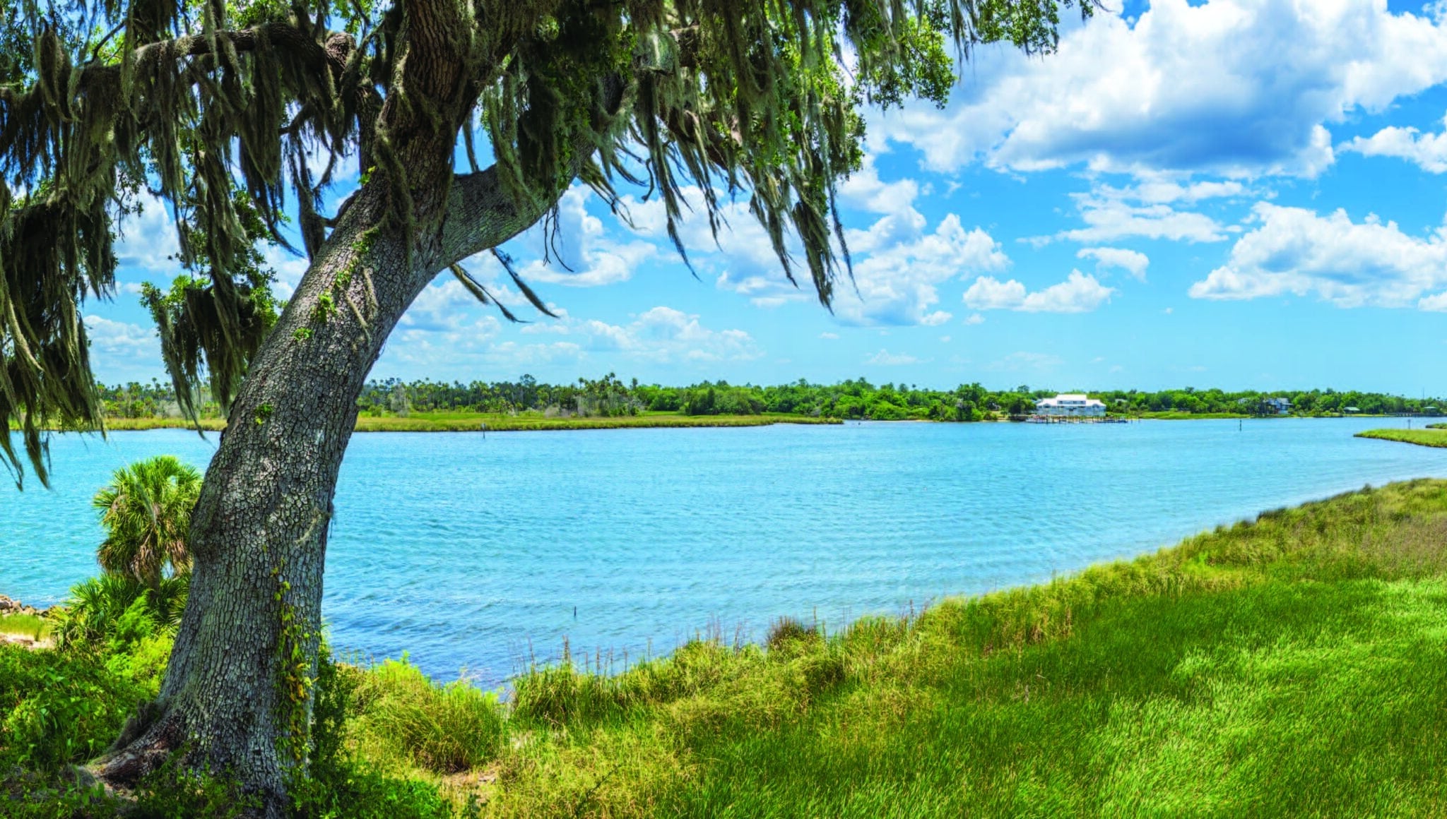 Beyond the Bridle Path - More to Ocala | Ocala Horse Properties