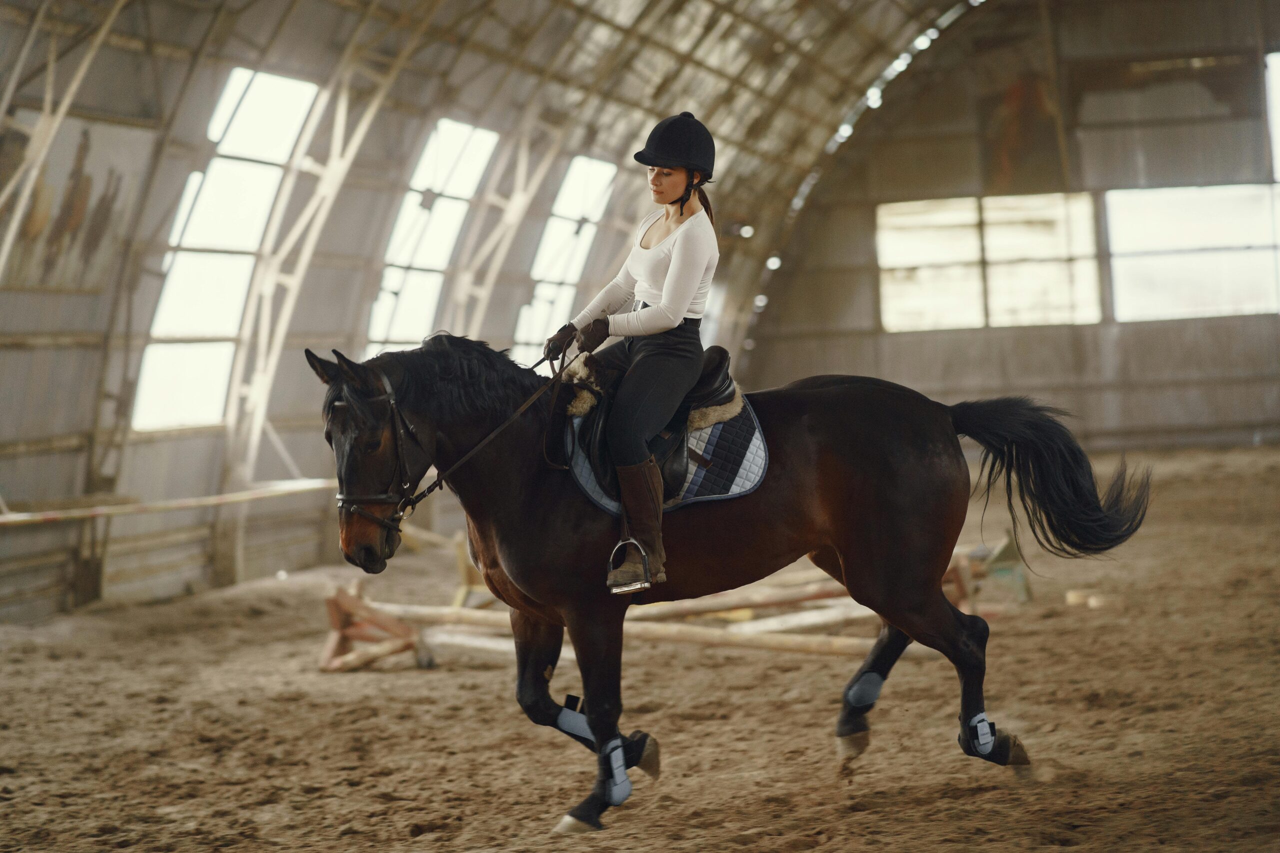 A Guide to 2025 Ocala Dressage Events - Ocala Horse Properties